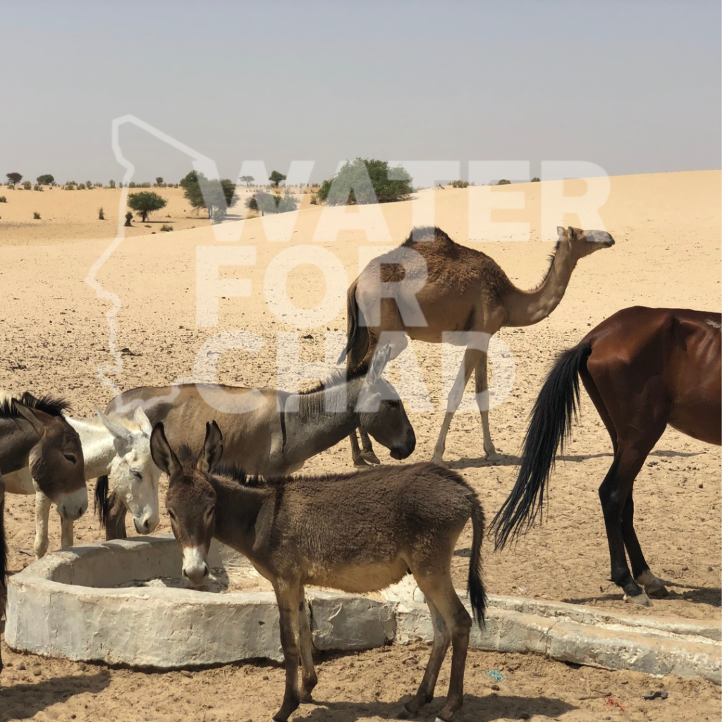 Drinking Water: The Foundation of Life - Water4Chad