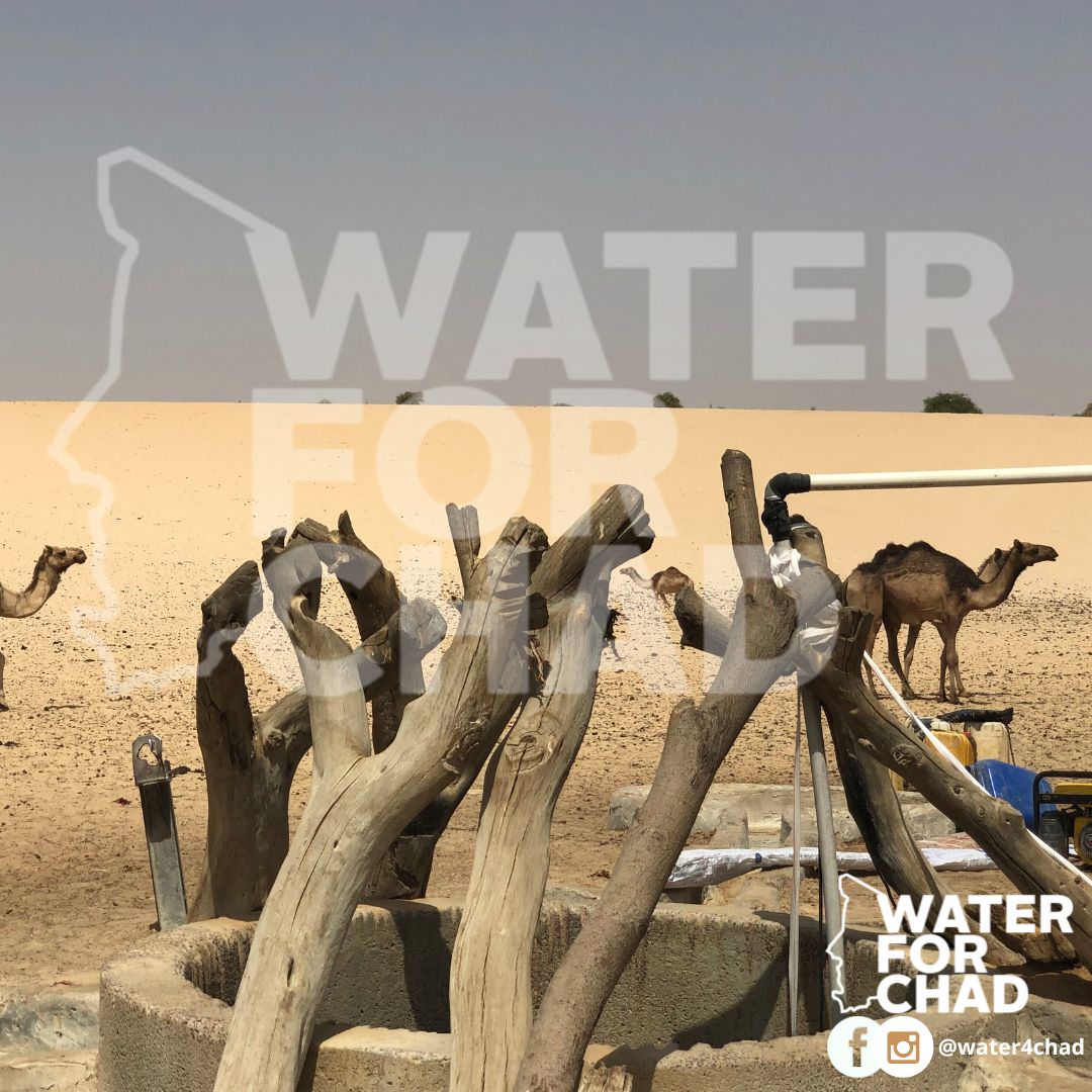 The Role of Sanitation in Flood Prevention - Water4Chad